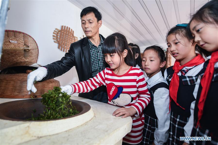 TCM education activity held in E China's primary school