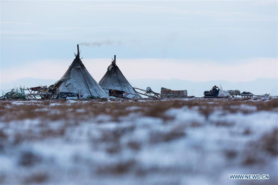 Daily life of Nenets in northern arctic Russia(4/15)