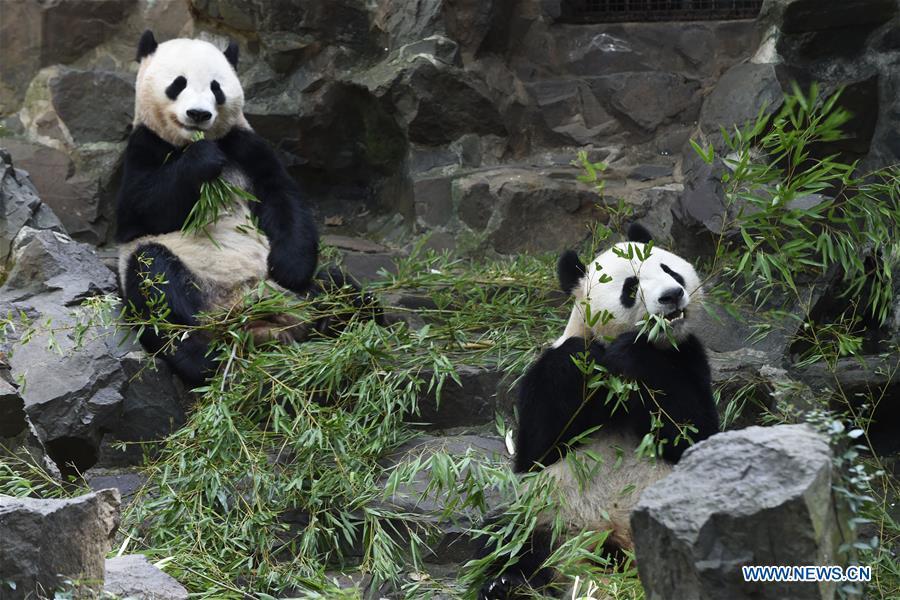 Harmony between animals and nature(3/19)