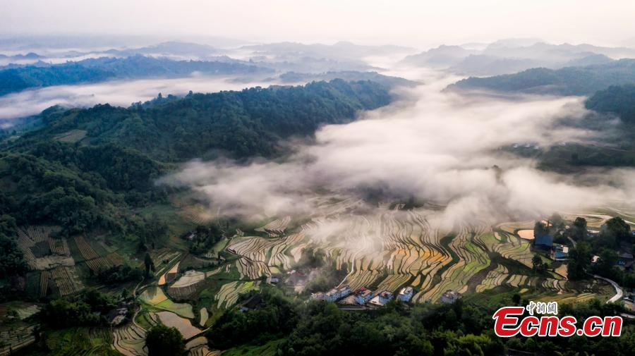 Aerial views of colorful fields in Sichuan