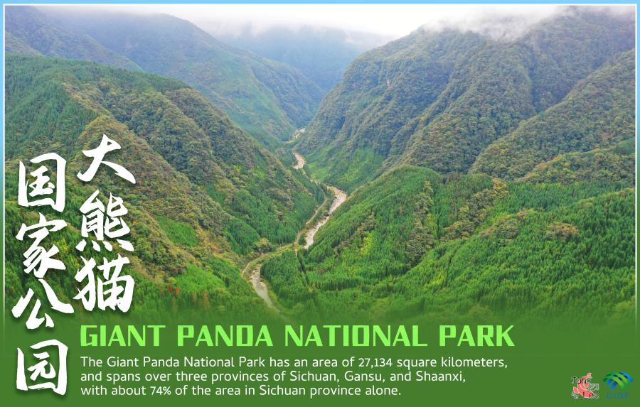 Giant Panda National Park at a glance