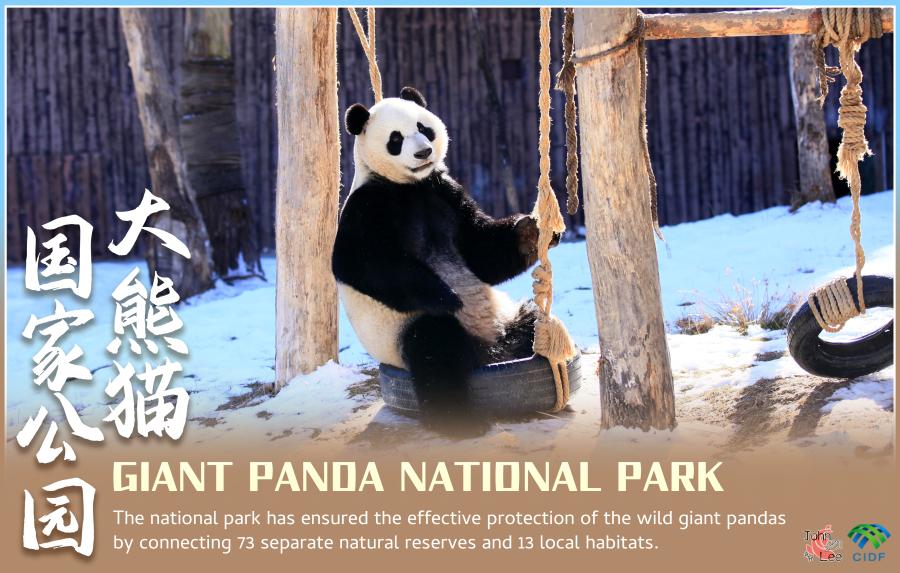 Giant Panda National Park at a glance