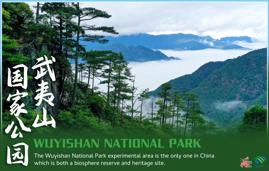 Wuyishan National Park at a glance