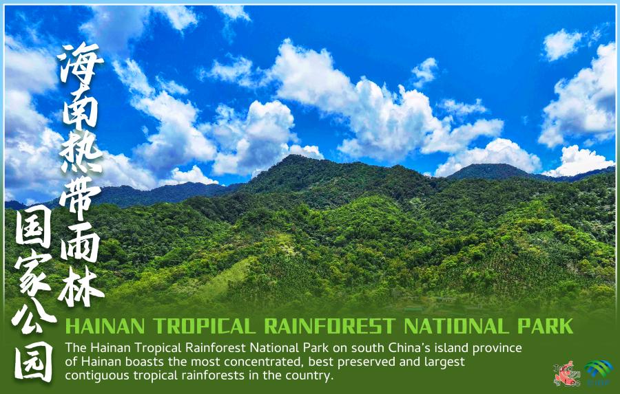 Hainan Tropical Rainforest National Park at a glance