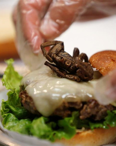 China News Service Website - Headlines, stories, photos and videos ...