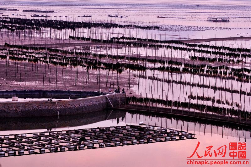 Xiapu: China's most beautiful mudflat (1/5) - Headlines, features ...