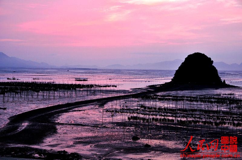 Xiapu: China's most beautiful mudflat (4/5) - Headlines, features ...