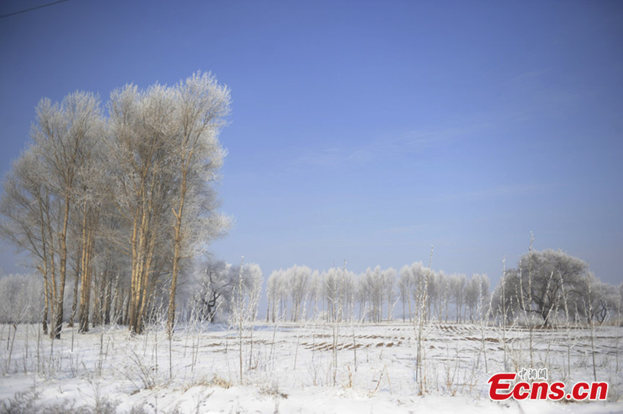 Beautiful rime scenery in Songyuan, Jilin (1/5) - Headlines, features ...