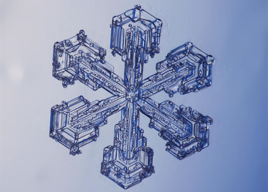 Snowflake under microscope (2/2) - Headlines, features, photo and ...