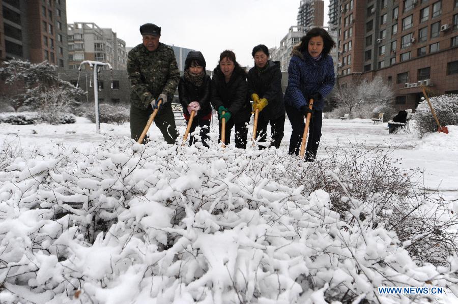 Heavy snowfall hits most parts of Liaoning (3/5) - Headlines, features ...