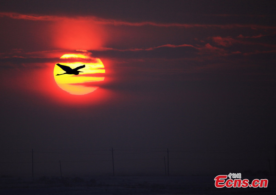Sunset scenery in Habahe county, Xinjiang (1/4) - Headlines, features ...