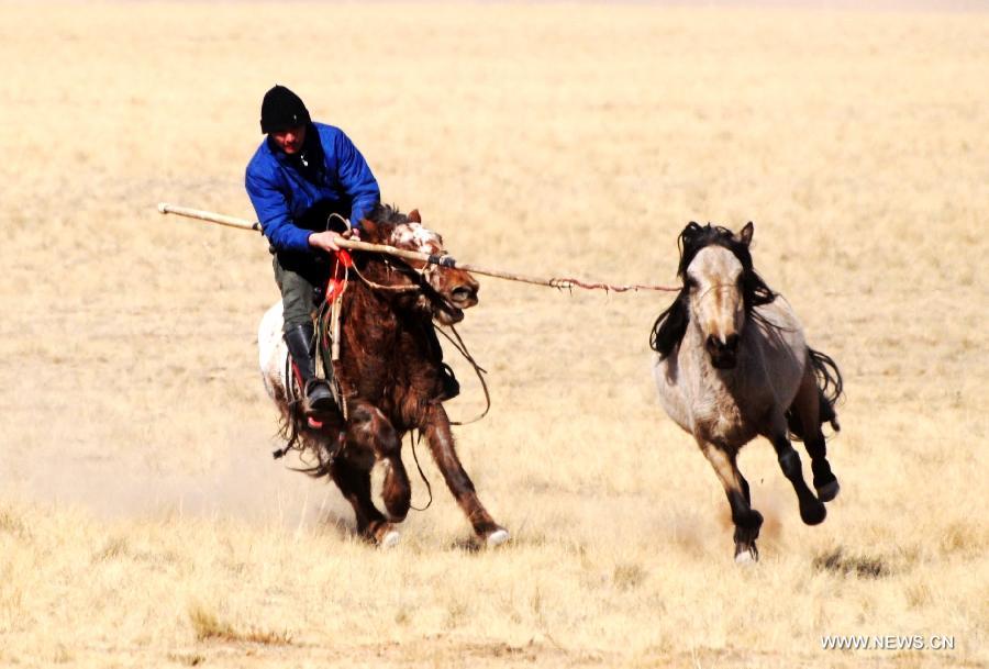 Herdsmen participate in horse lassoing competition in N. China (2/6 ...