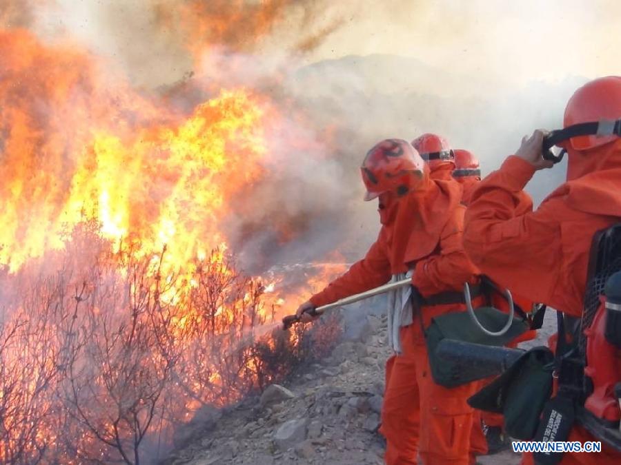 Firefighters battle forest fire in China's Yunnan Province (1/3 ...
