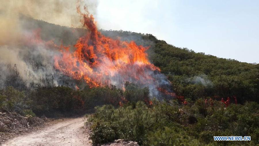 Firefighters battle forest fire in China's Yunnan Province (3/3 ...
