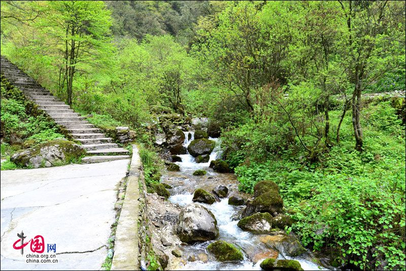Spring scenery of Xiling Snow Mountain (6/9) - Headlines, features ...