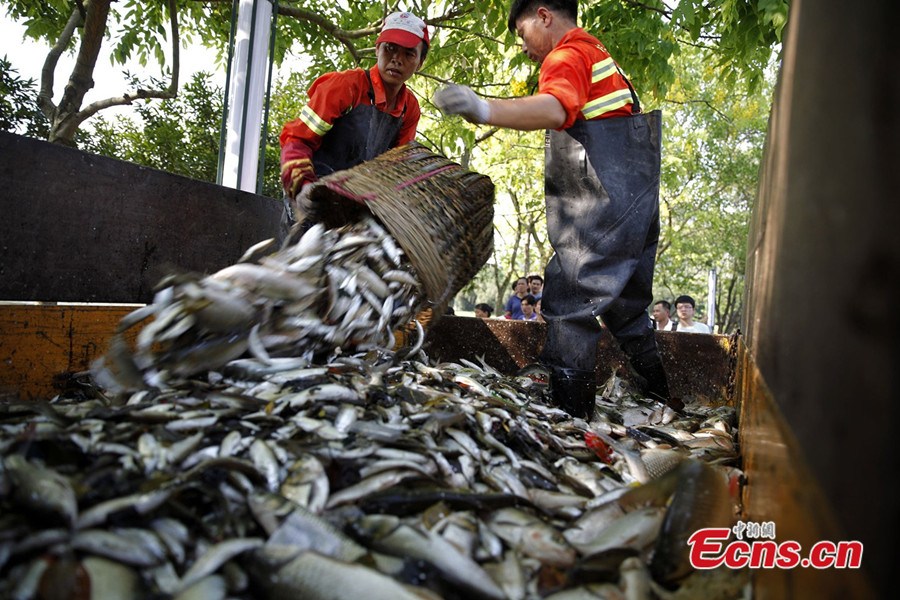 10 tons of fish buried alive at landfill in S China (1/10) - Headlines ...