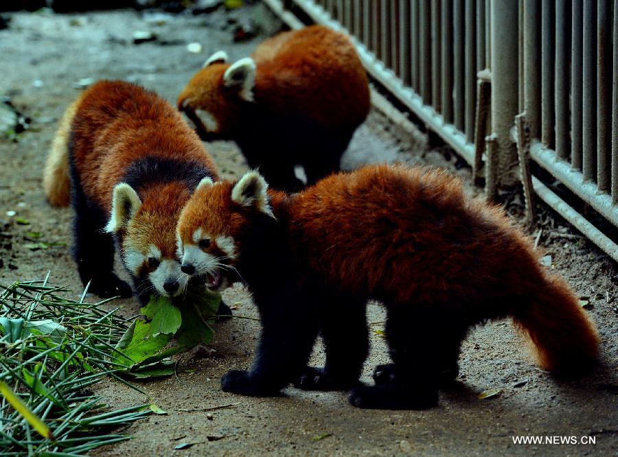Fuzhou Zoo