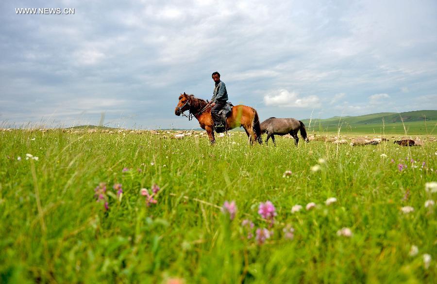 Scenery of Ulgai Grassland in N China (5/7) - Headlines, features ...